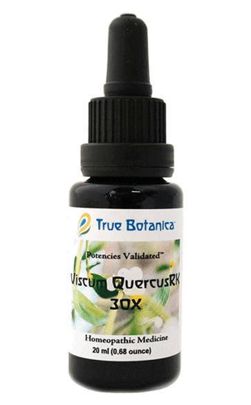 Viscum Quercus RK 30X by True Botanica – True Botanica Nutritional ...